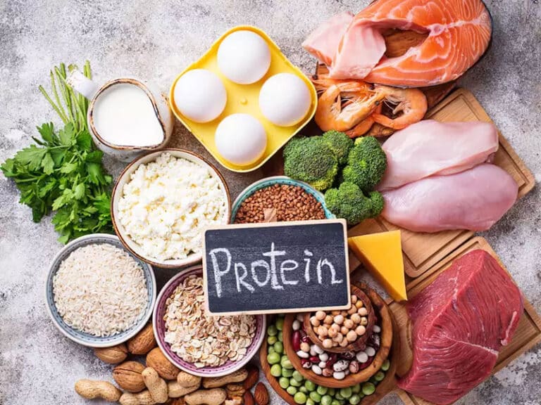 How Much Protein Is Too Much? Insights from High-Protein Diets